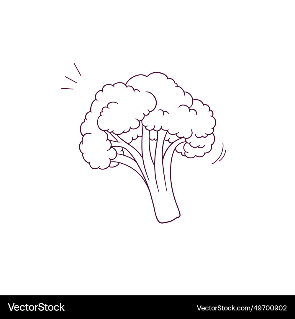 Hand drawn of broccoli icon doodle sketch Vector Image