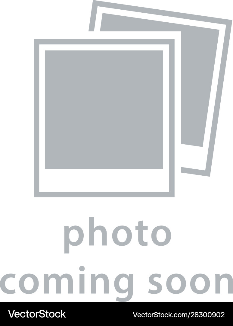 Photo comingsoon icon image picture gray Vector Image