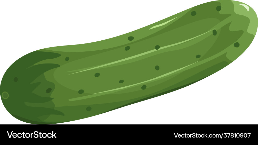 Fresh cucumber vegetable isolated flat food Vector Image