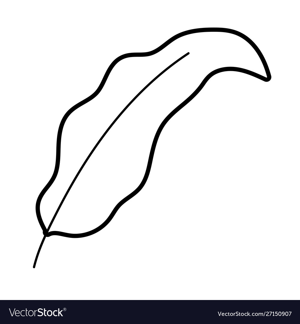 Isolated leaf design Royalty Free Vector Image