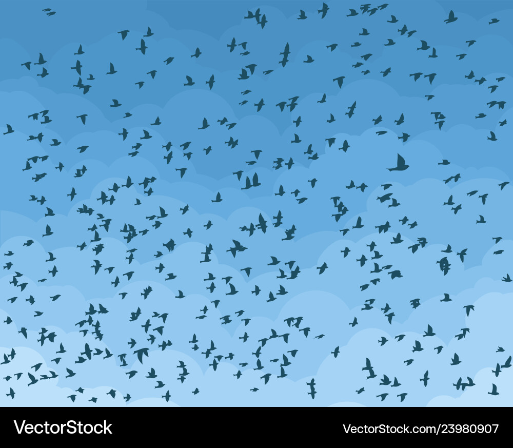 Sky with birds Royalty Free Vector Image - VectorStock