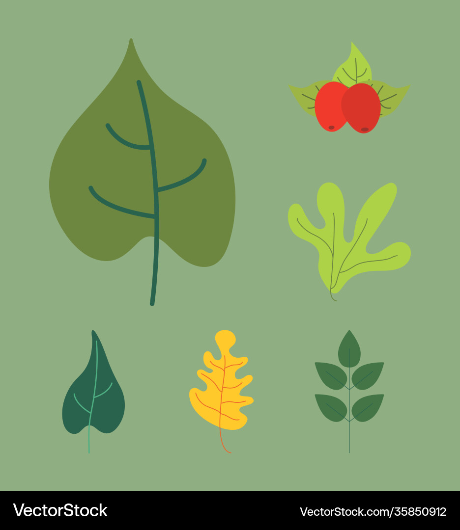Bundle six colors leaves nature icons Royalty Free Vector