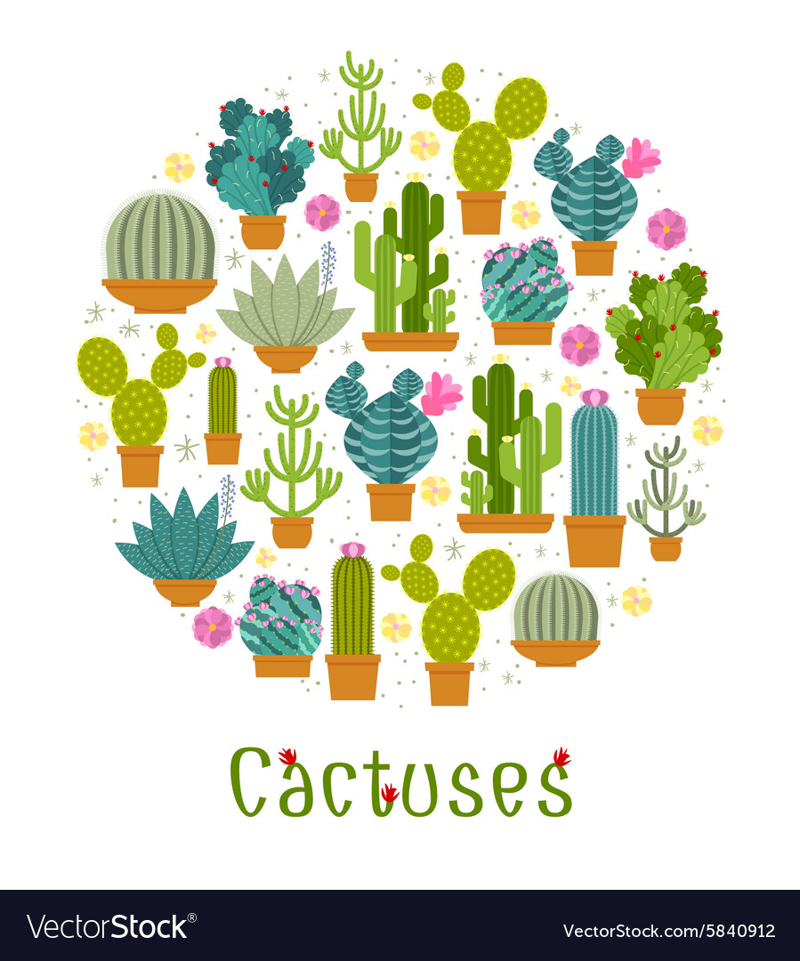 Cactus label Royalty Free Vector Image - VectorStock