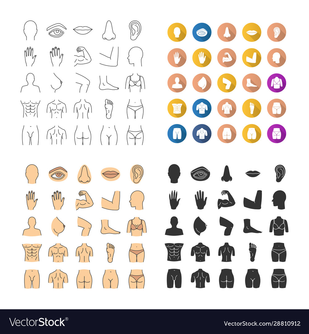 Human body parts icons set Royalty Free Vector Image Human body parts icons set Royalty Free Vector Image