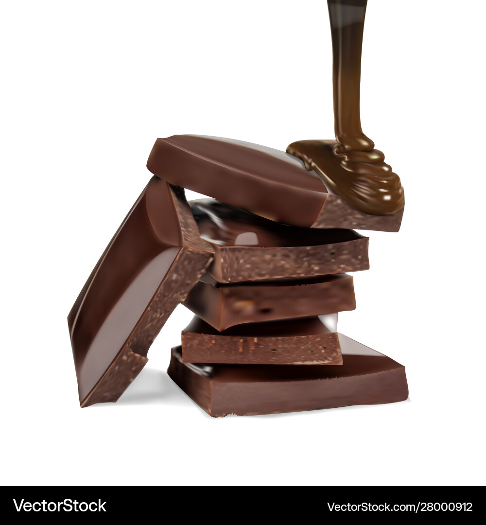 Pieces chocolate are poured with chocolate Vector Image
