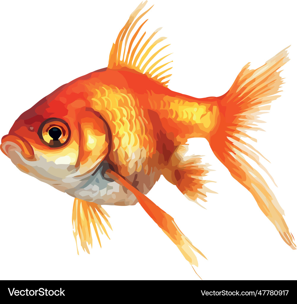 Goldfish swimming isolated icon Royalty Free Vector Image