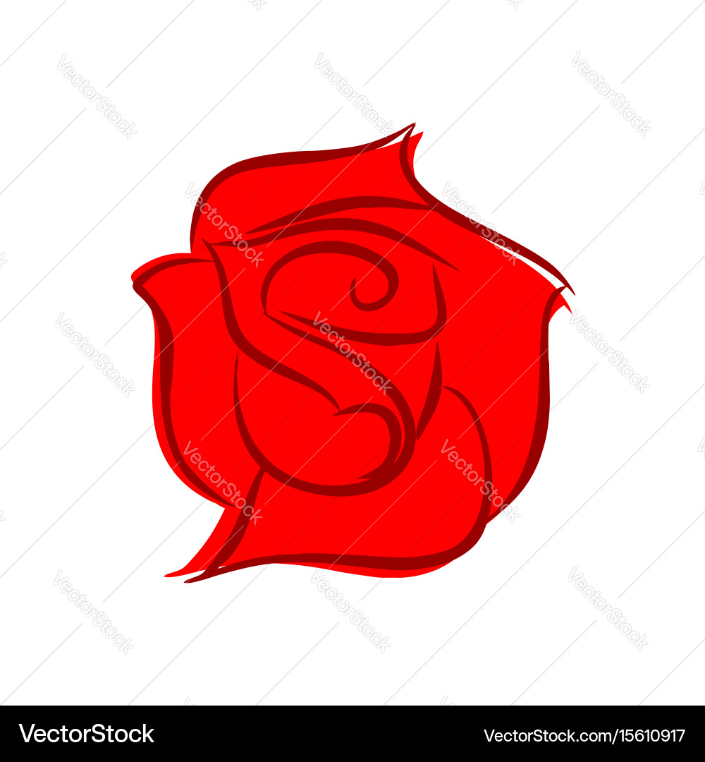Red rose isolated flower on white background Vector Image