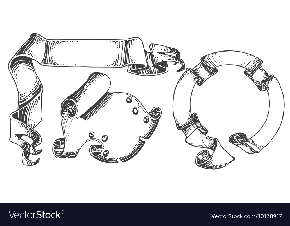 Scroll set Royalty Free Vector Image - VectorStock