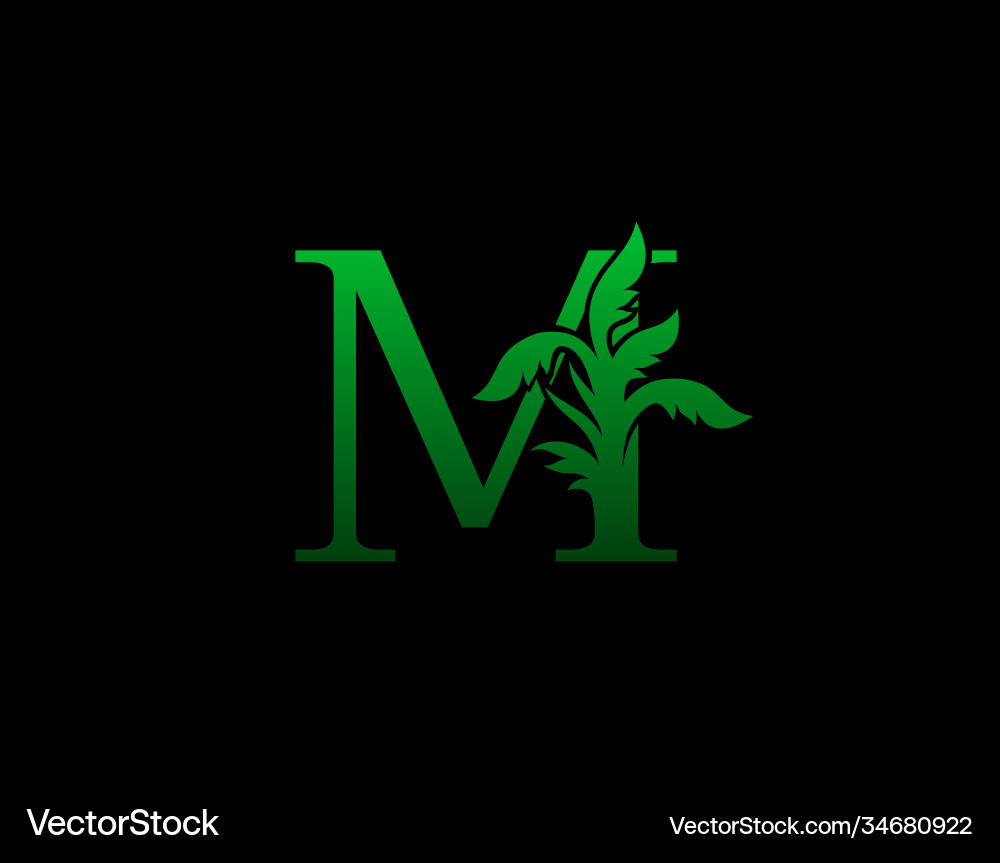 Letter m logo nature concept abstract green tree Vector Image
