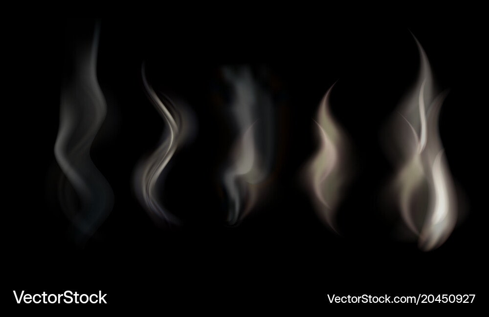 Set of transparent smoke Royalty Free Vector Image