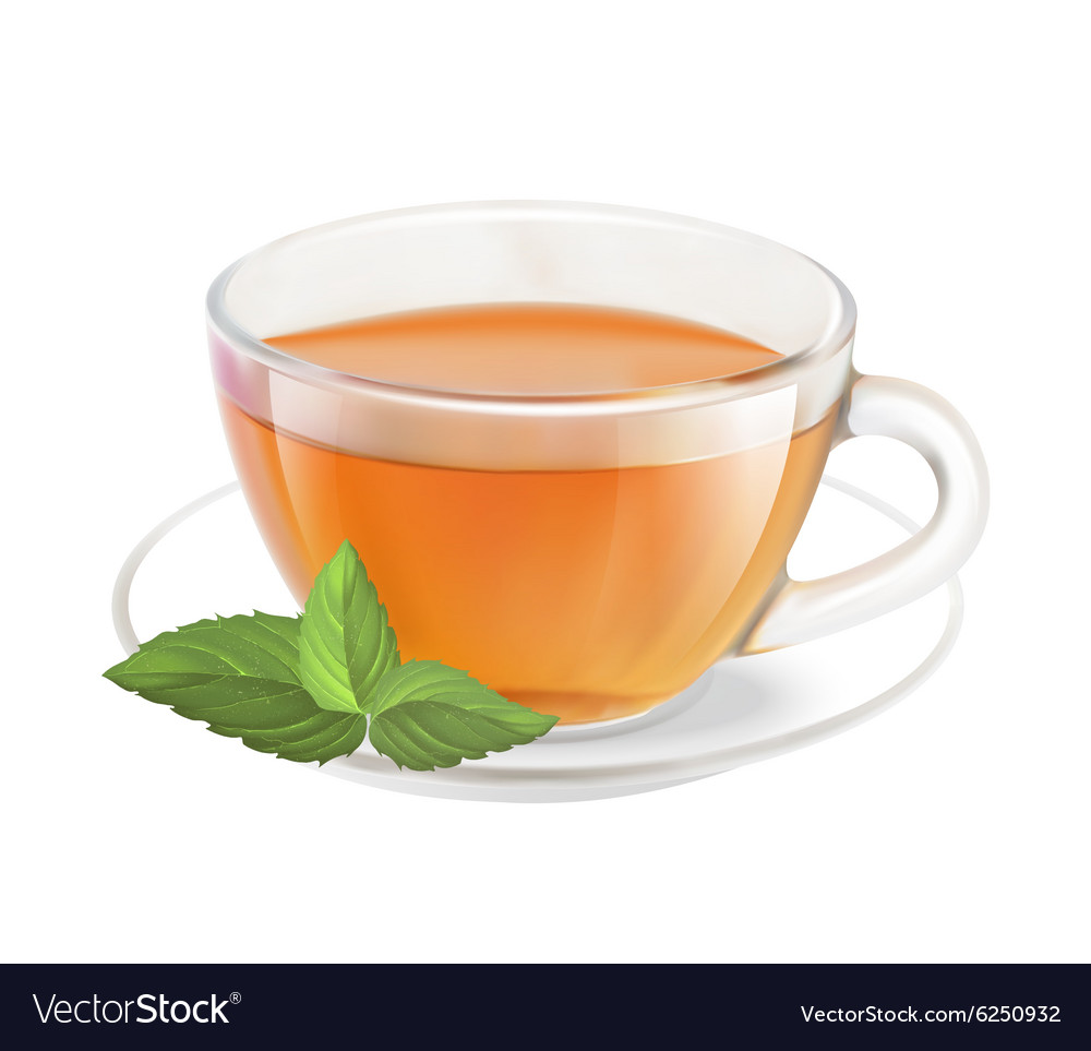 Tea cup Royalty Free Vector Image - VectorStock