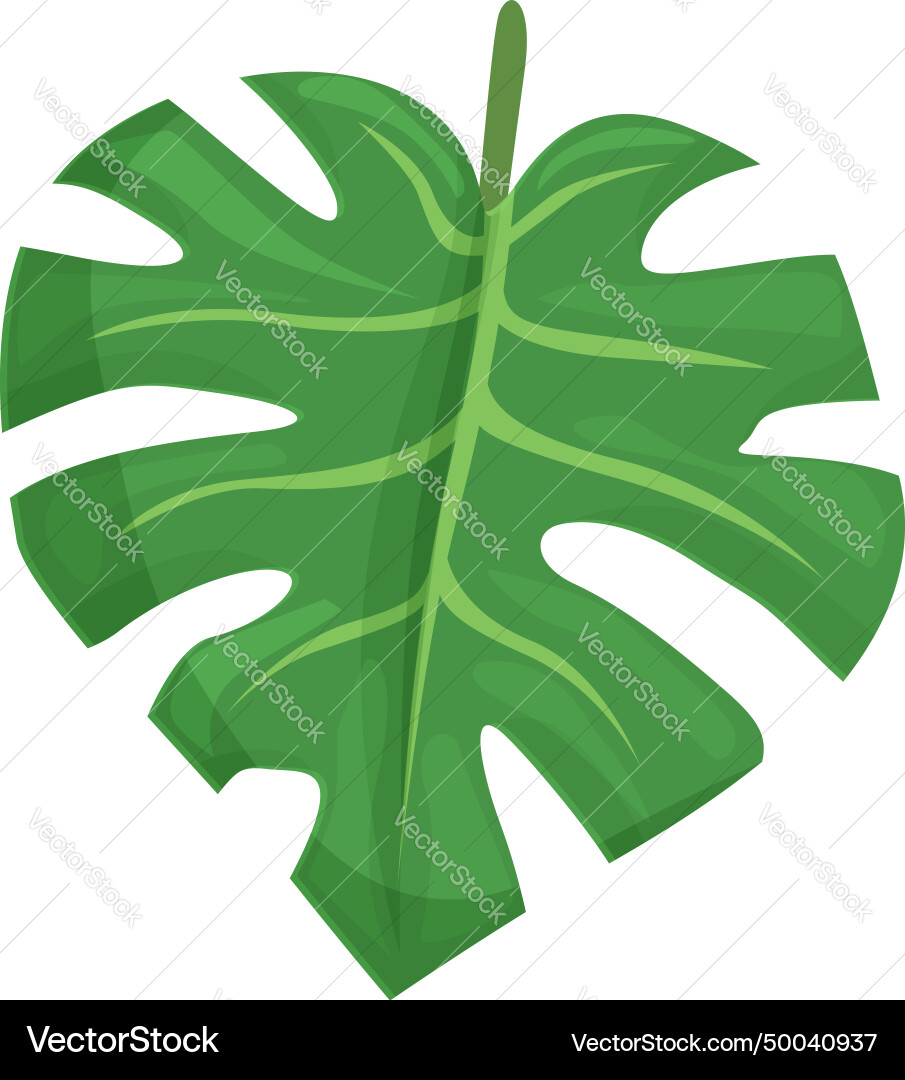 Flora monstera icon cartoon plant leaf Royalty Free Vector