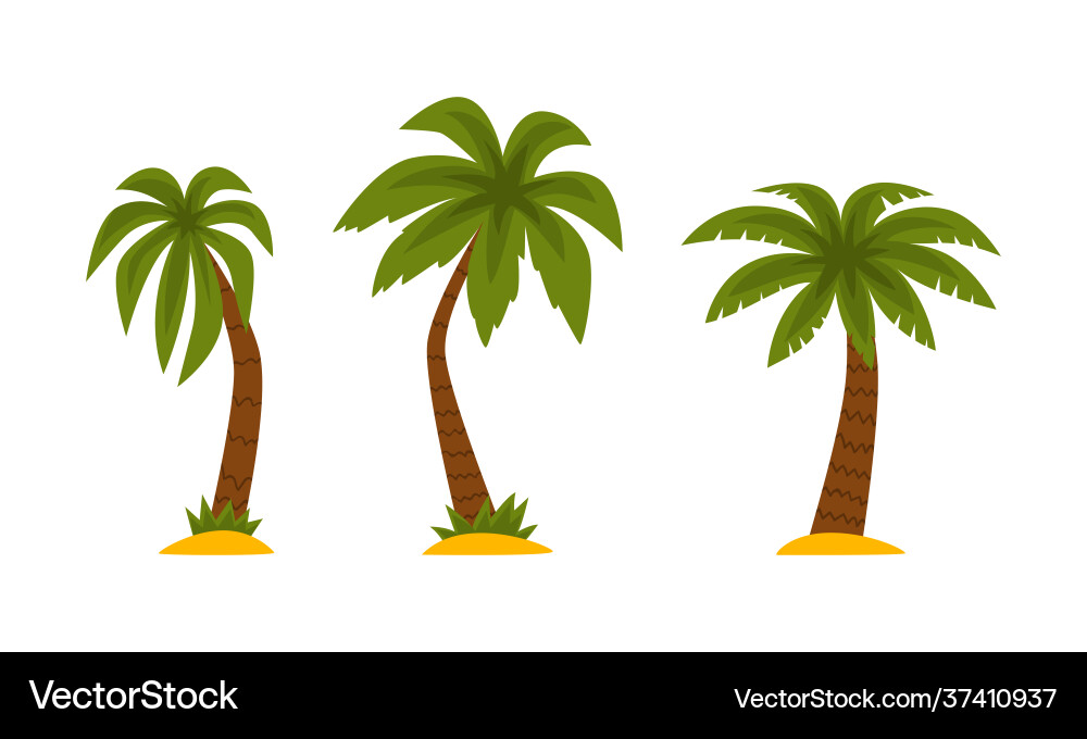 Palm tree as tropical plant with trunk rested Vector Image