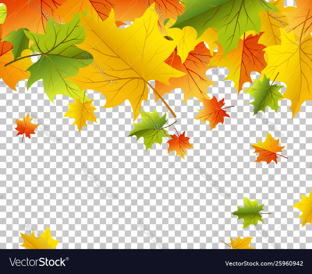 Falling maple leaves Royalty Free Vector Image