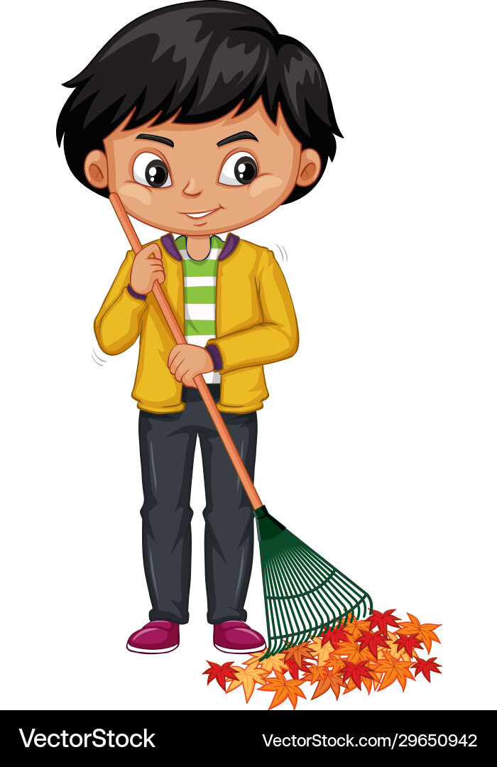 Happy boy raking leaves on white background Vector Image