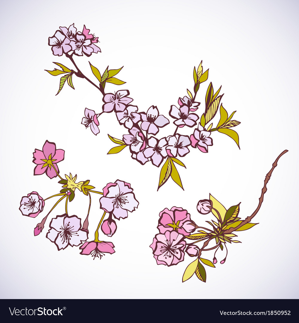 Blossoming sakura decorative elements Royalty Free Vector