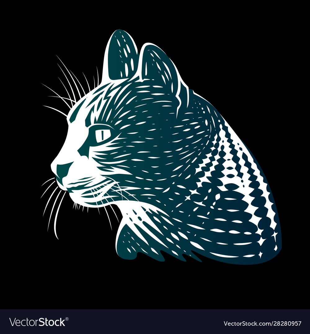 Cat Royalty Free Vector Image - VectorStock