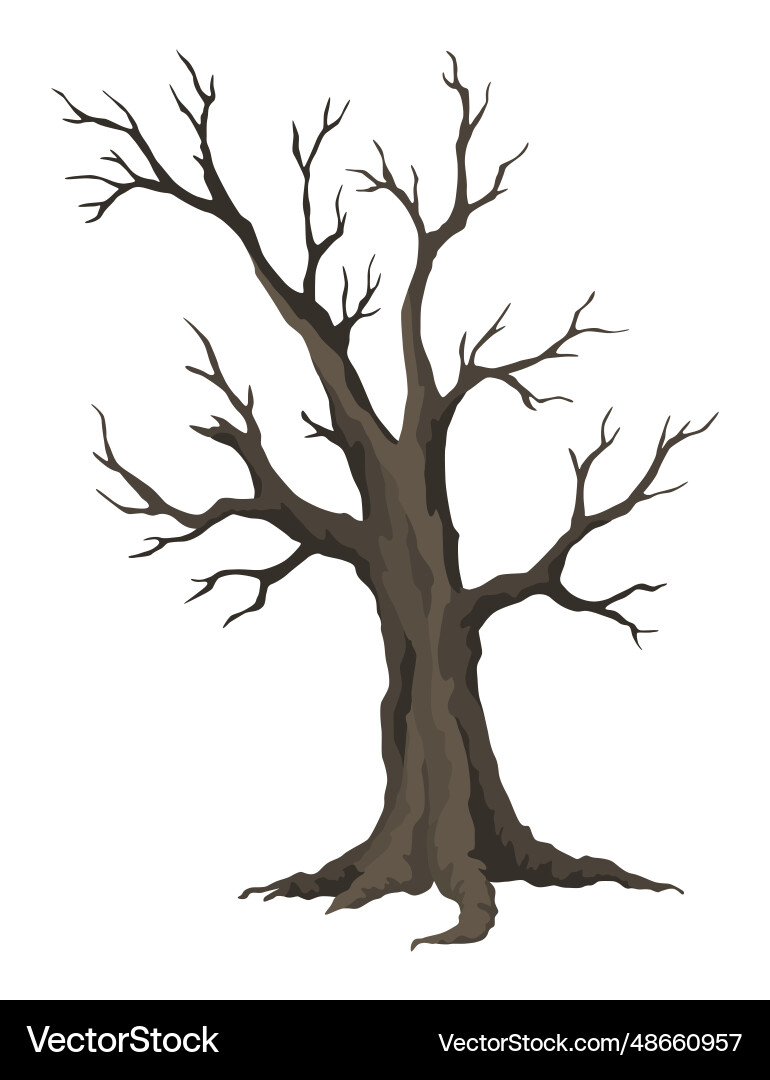 Old dead tree rough spooky bark dry naked branch Vector Image