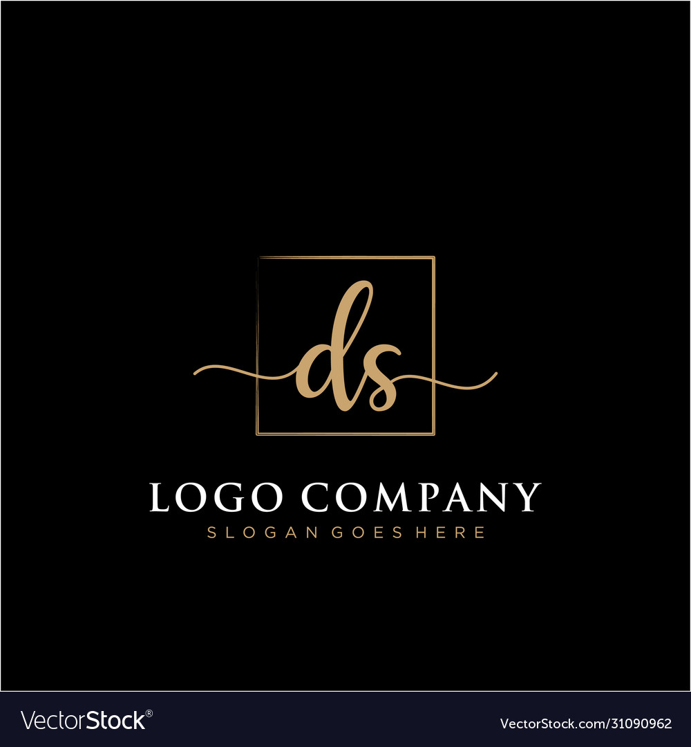 Ds initial handwriting logo with rectangle Vector Image