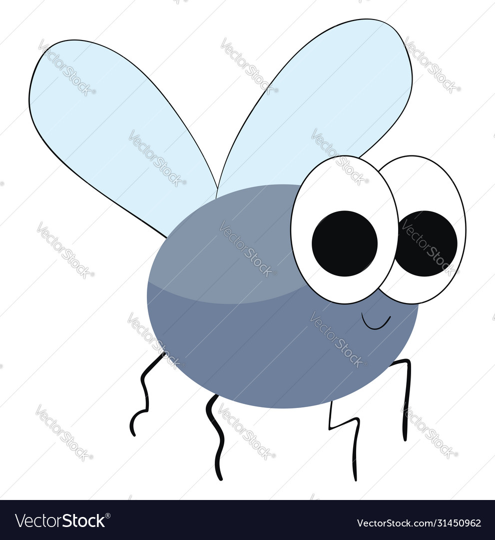 Gray bug on white background Royalty Free Vector Image