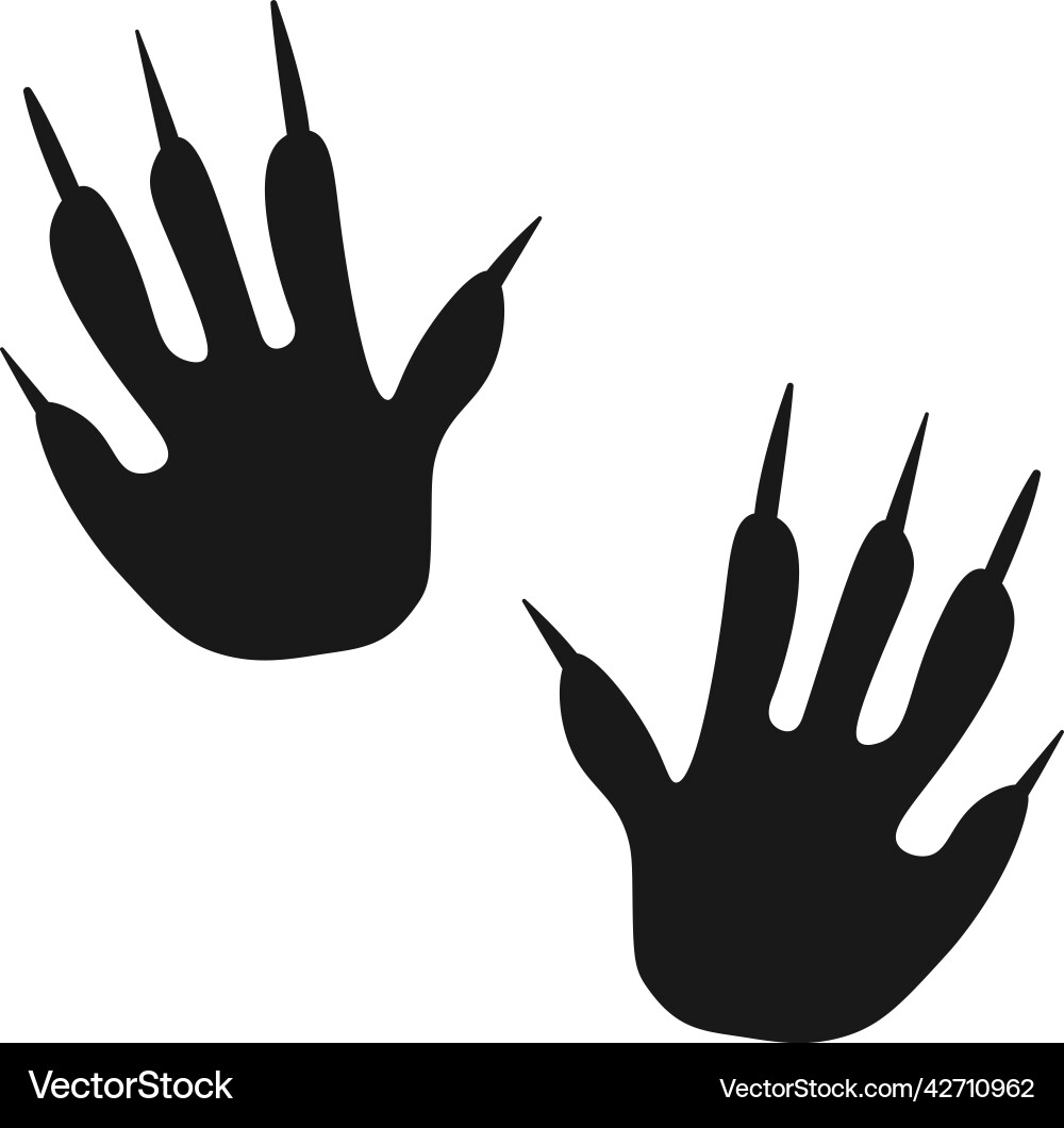 Stoat paws black marks forest animal track Vector Image