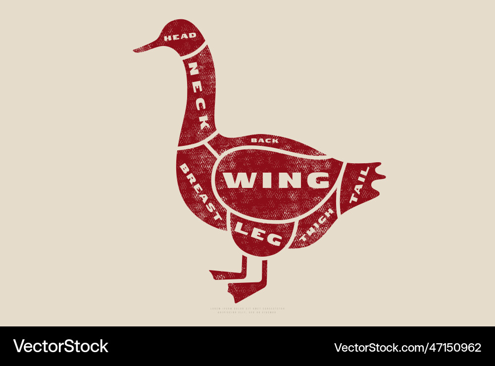 Stock goose cuts diagram in flat style Royalty Free Vector