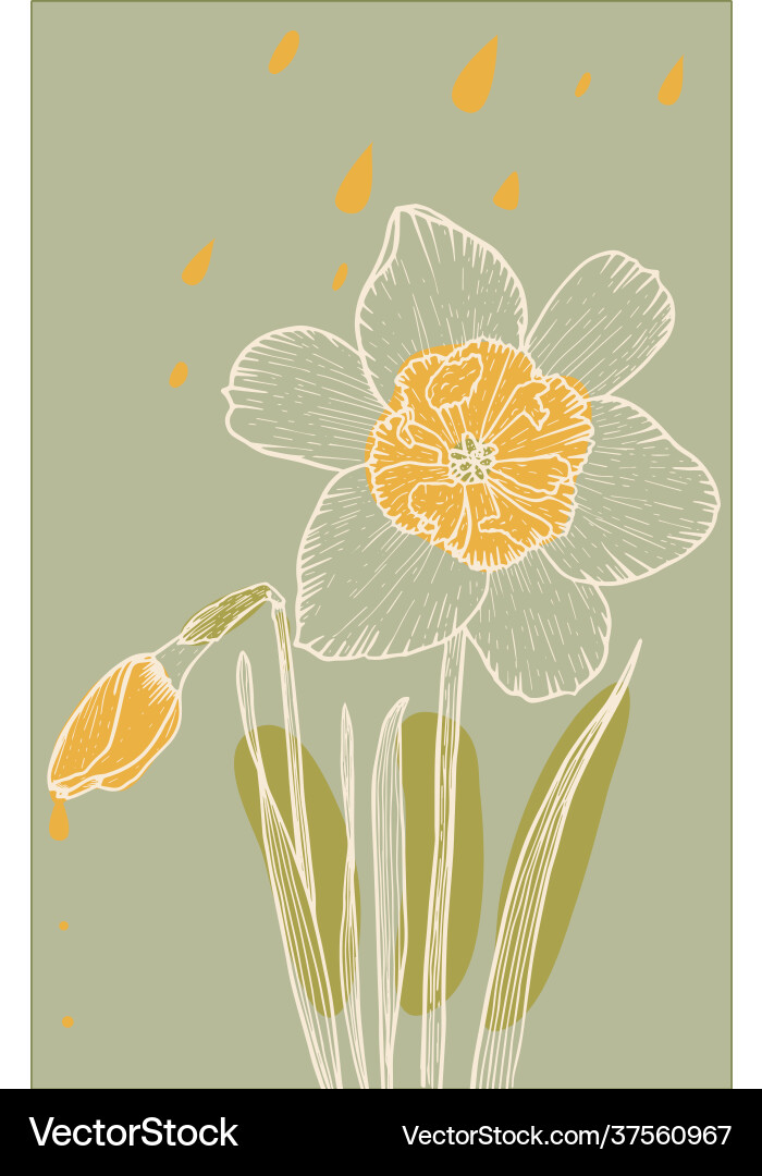 Abstract line art daffodil flower with color Vector Image