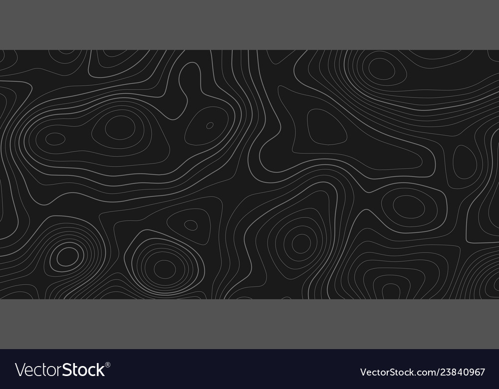 Topographic map terrain texture and landscape Vector Image Topographic map terrain texture and landscape Vector Image