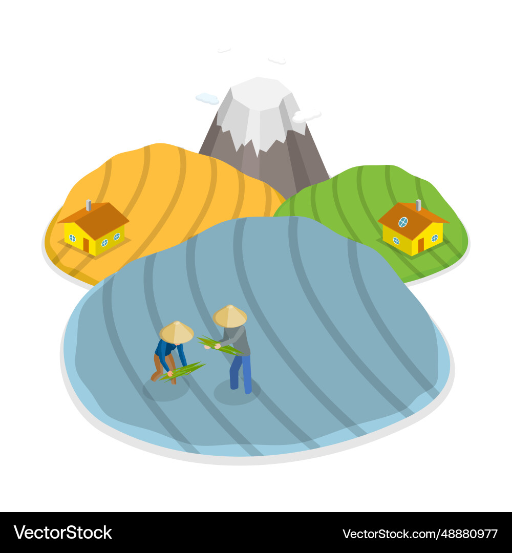 3d isometric flat of rice farm Royalty Free Vector Image