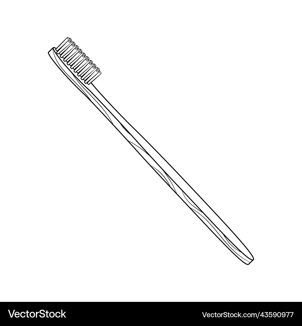 Bamboo wooden toothbrushes for healthy teeth Vector Image