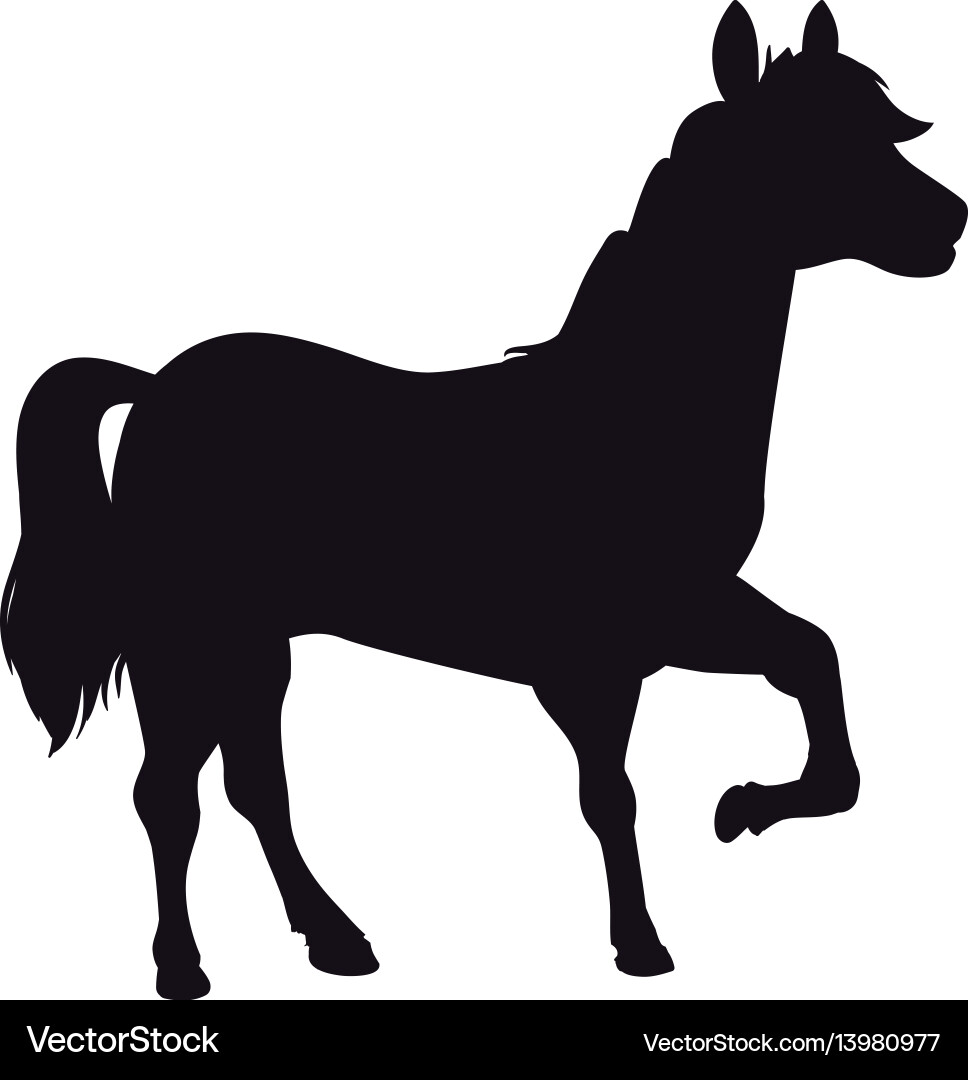 Horse farm animal Royalty Free Vector Image - VectorStock