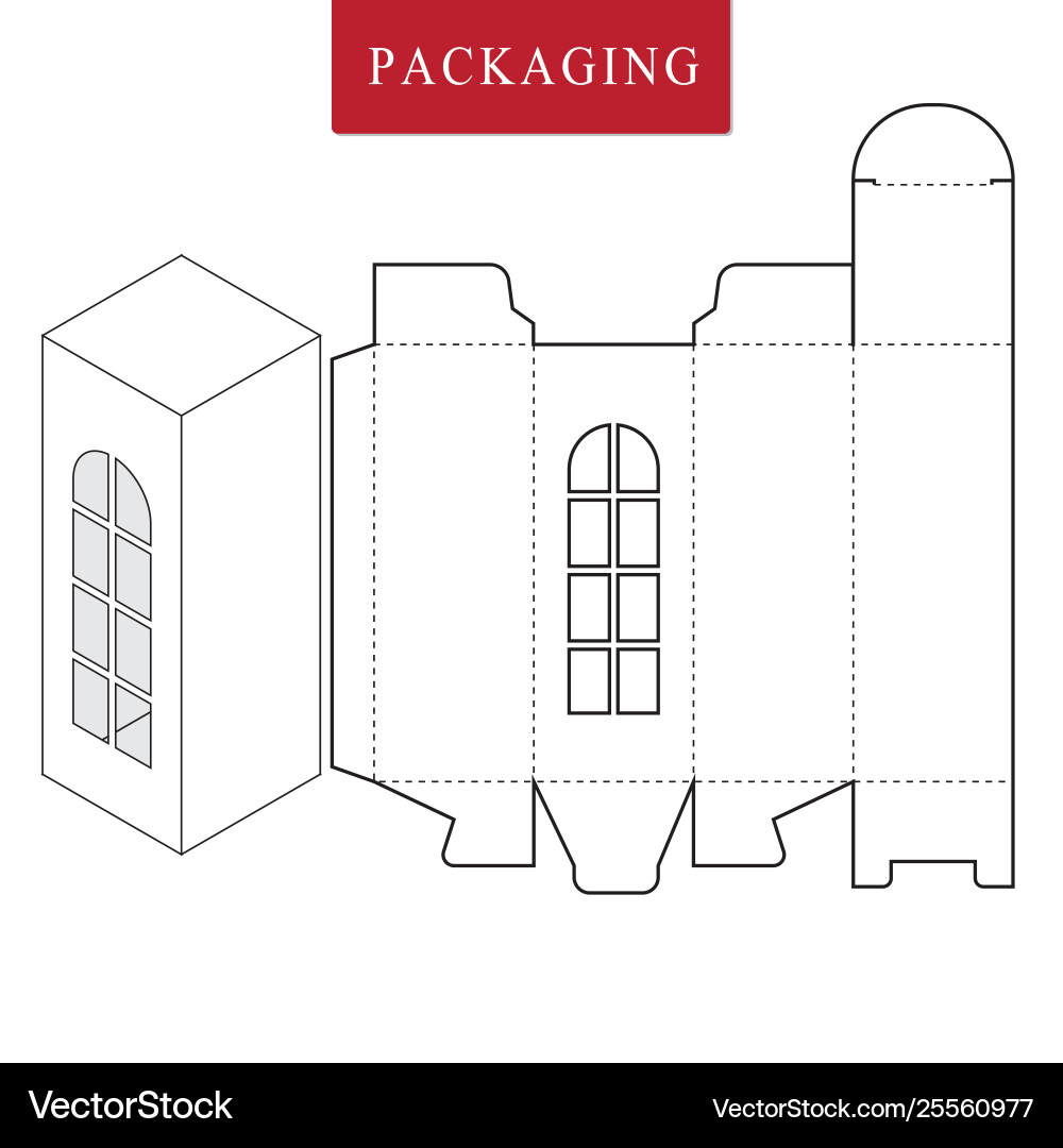 Packaging Design Boxpackage Royalty Free Vector Image