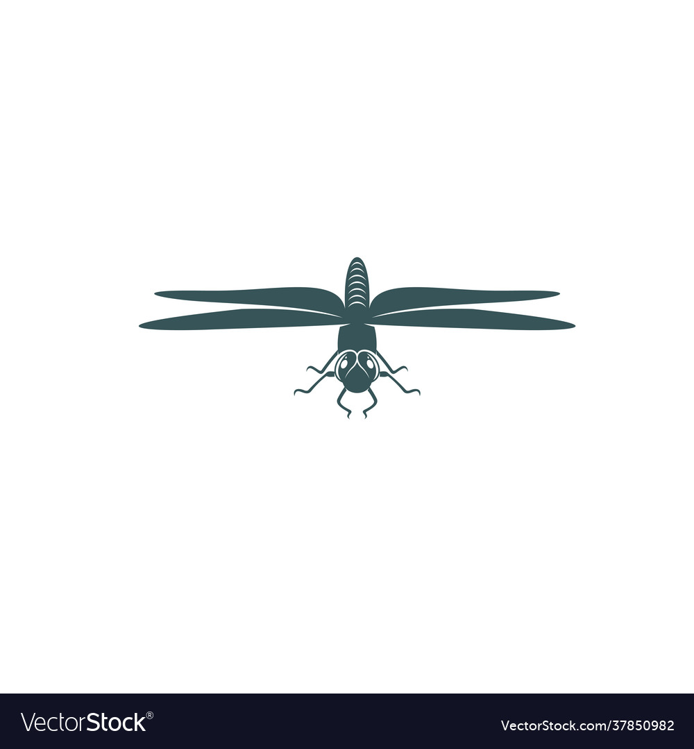 Dragonfly design creative Royalty Free Vector Image