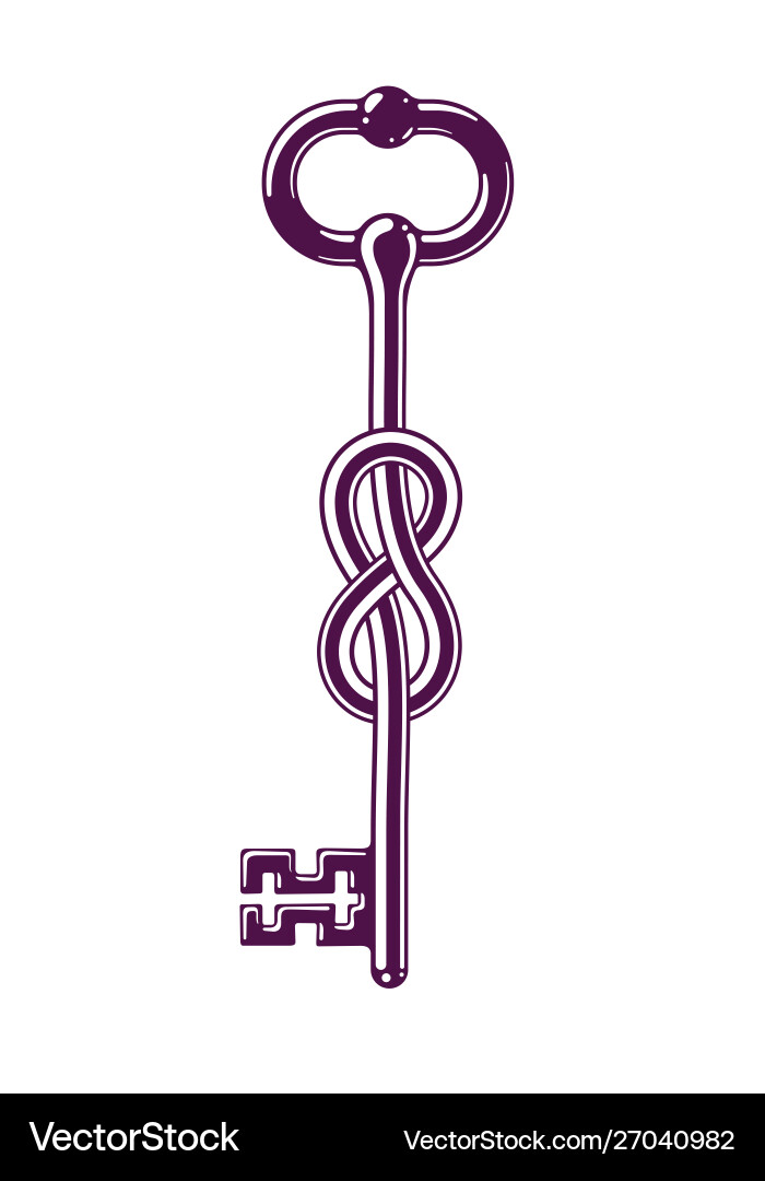 Knotted key allegorical symbol keep secret Vector Image