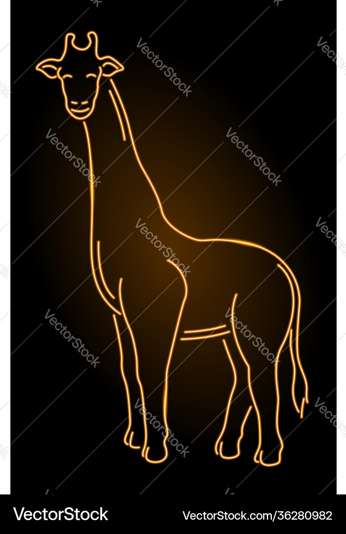 Line art with shiny colorful neon giraffe Vector Image