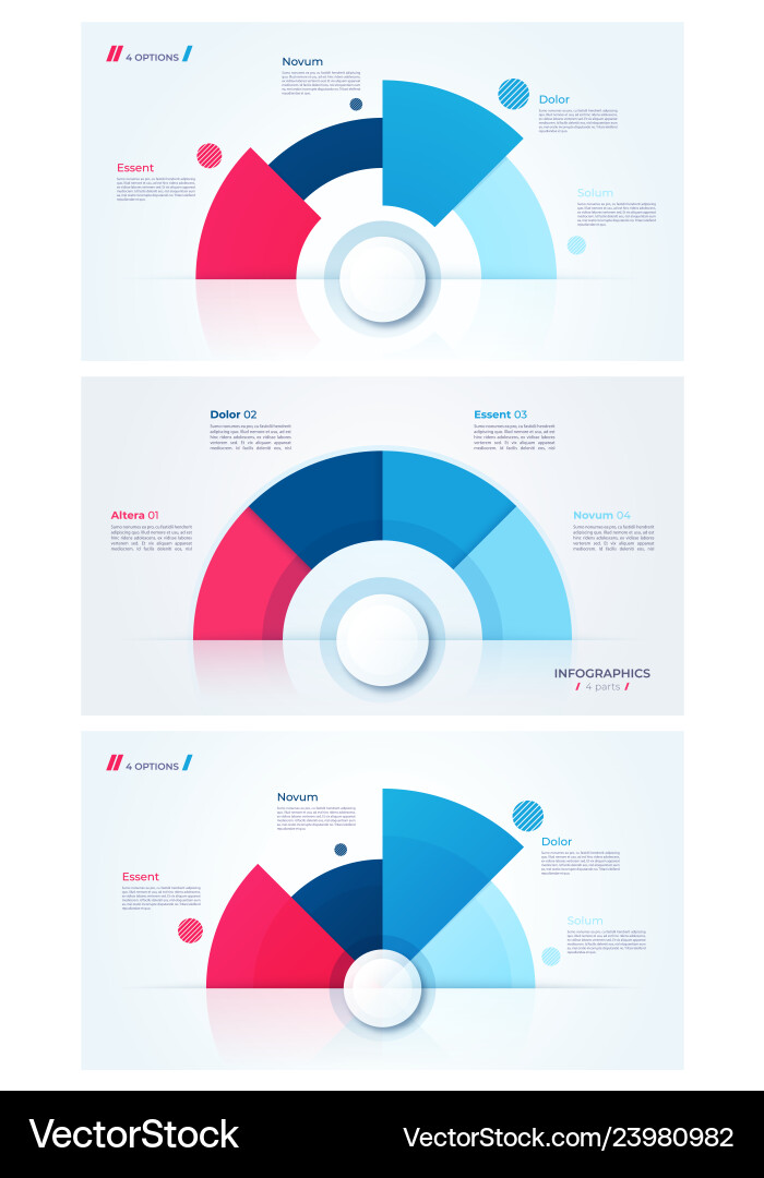 Set of stylish pie chart circle infographic Vector Image