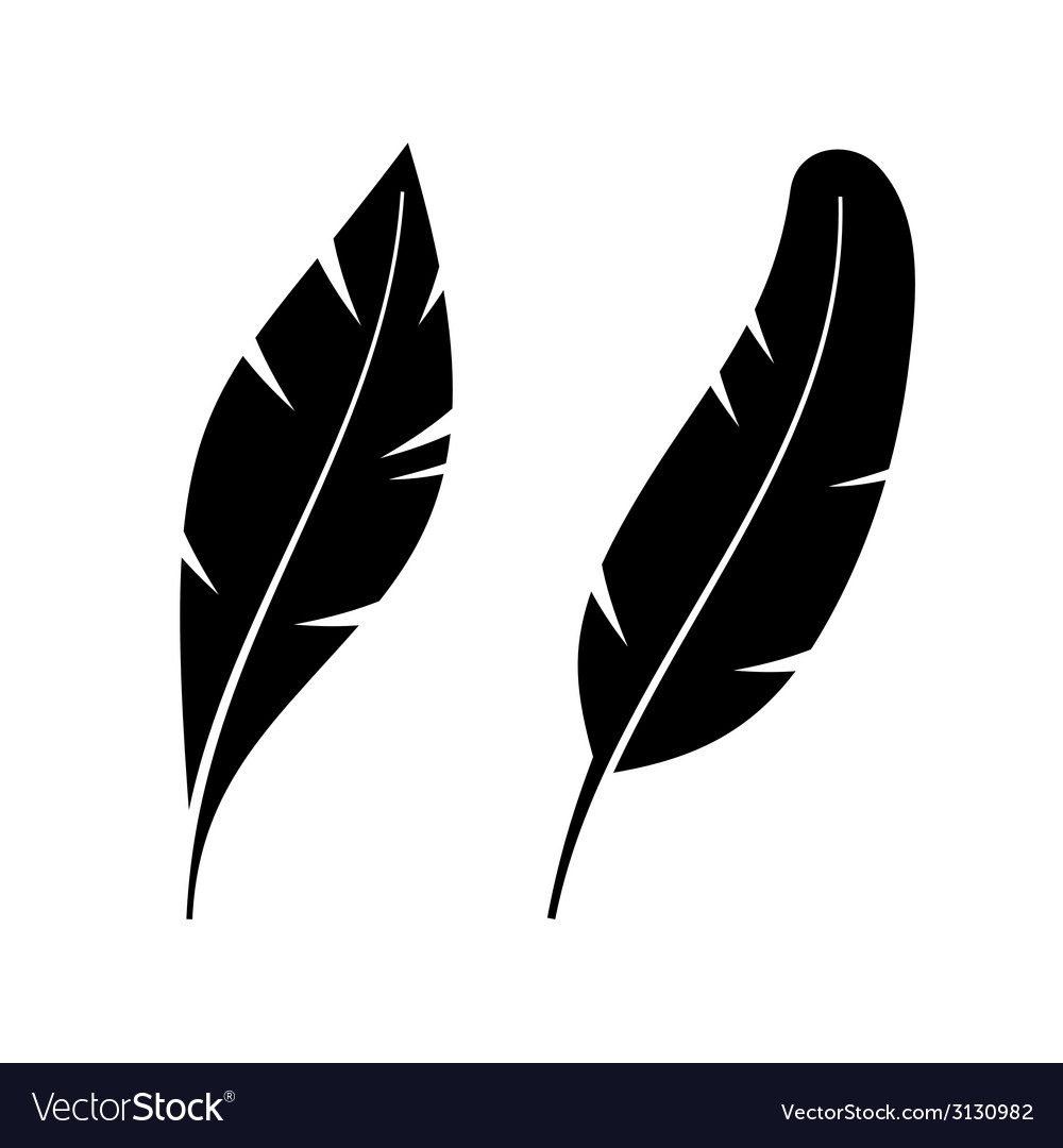 Two Icon Style Feathers Royalty Free Vector Image