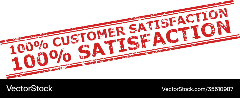 100 percent customer satisfaction percent Vector Image