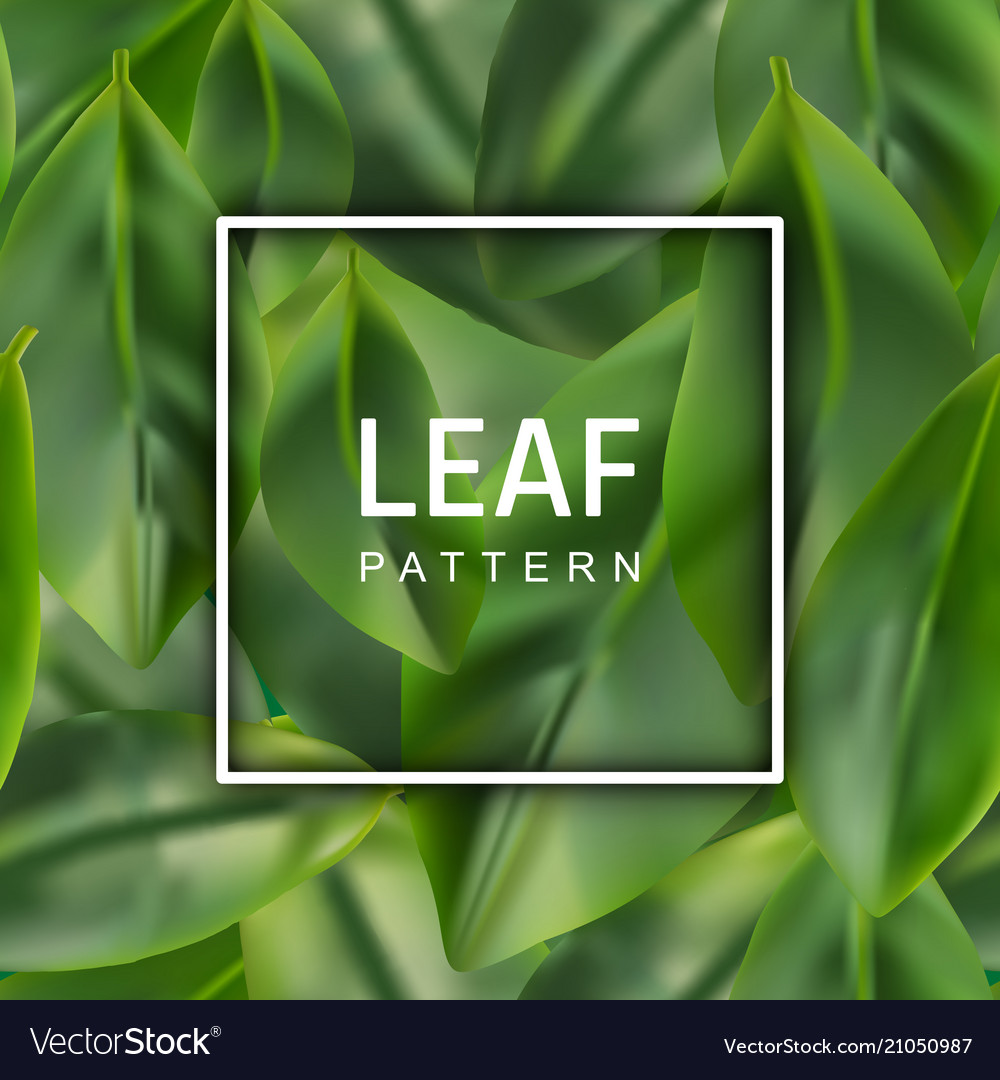 Leaf realistic background Royalty Free Vector Image