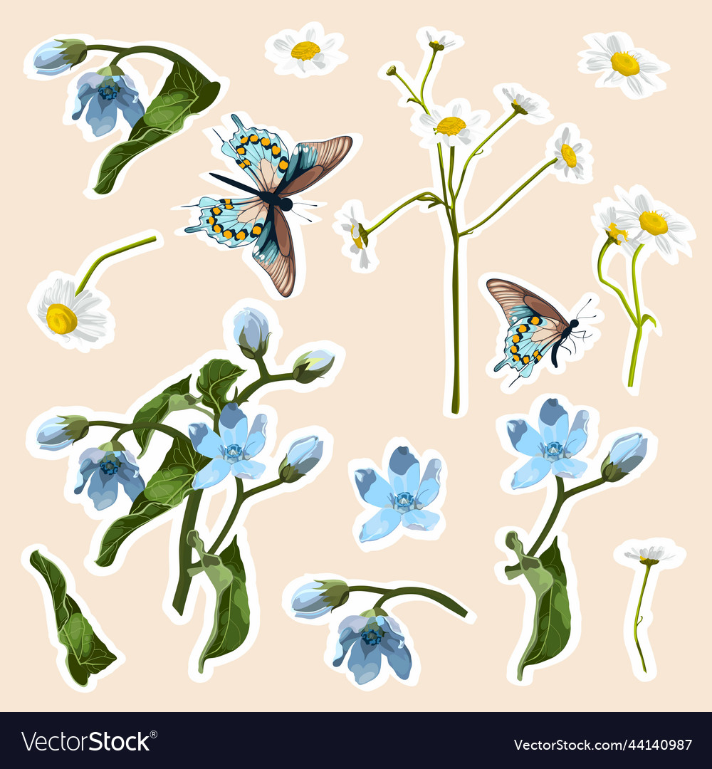 Set of spring flowers and butterfly elements Vector Image