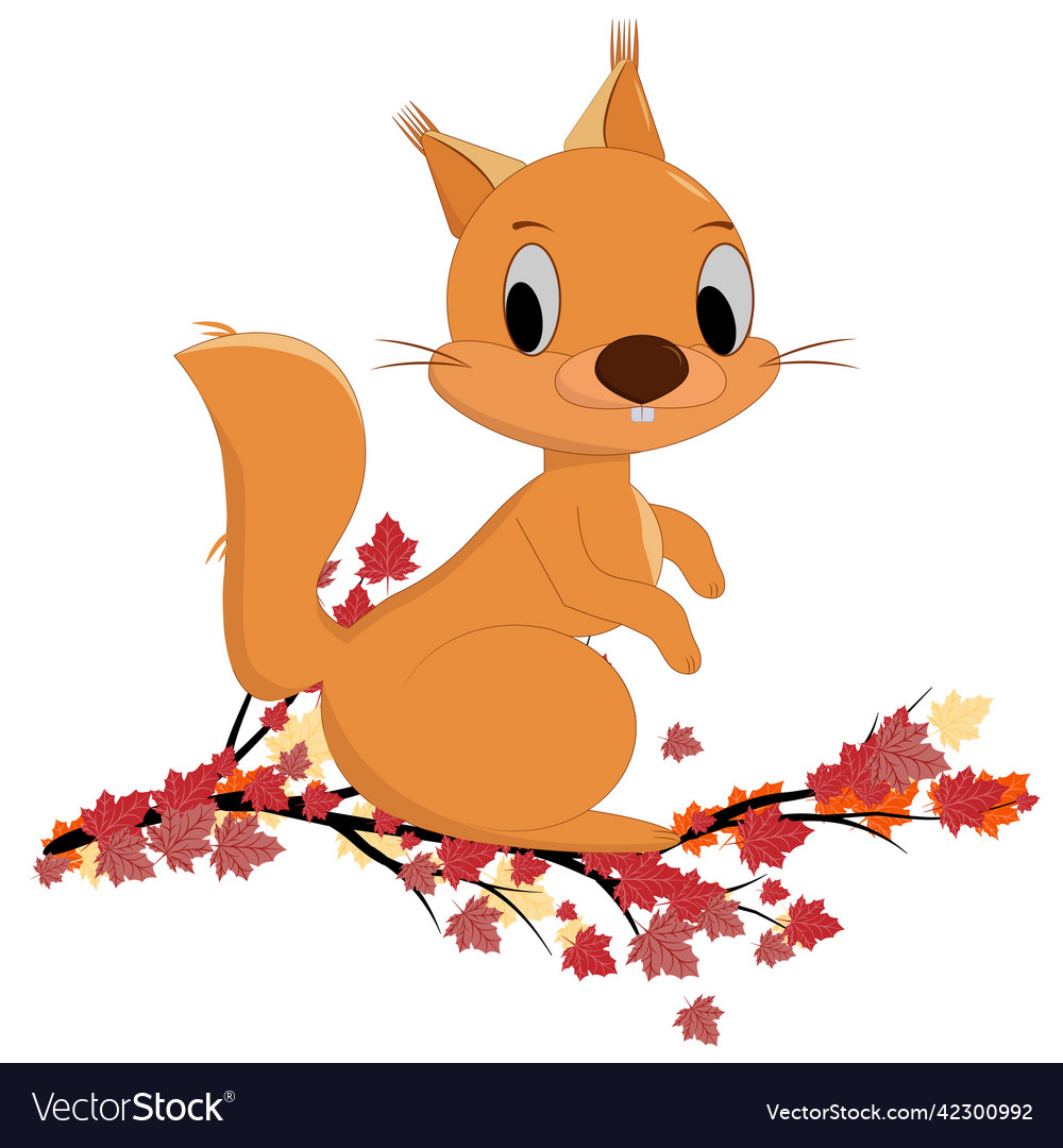 Squirrel Royalty Free Vector Image - VectorStock