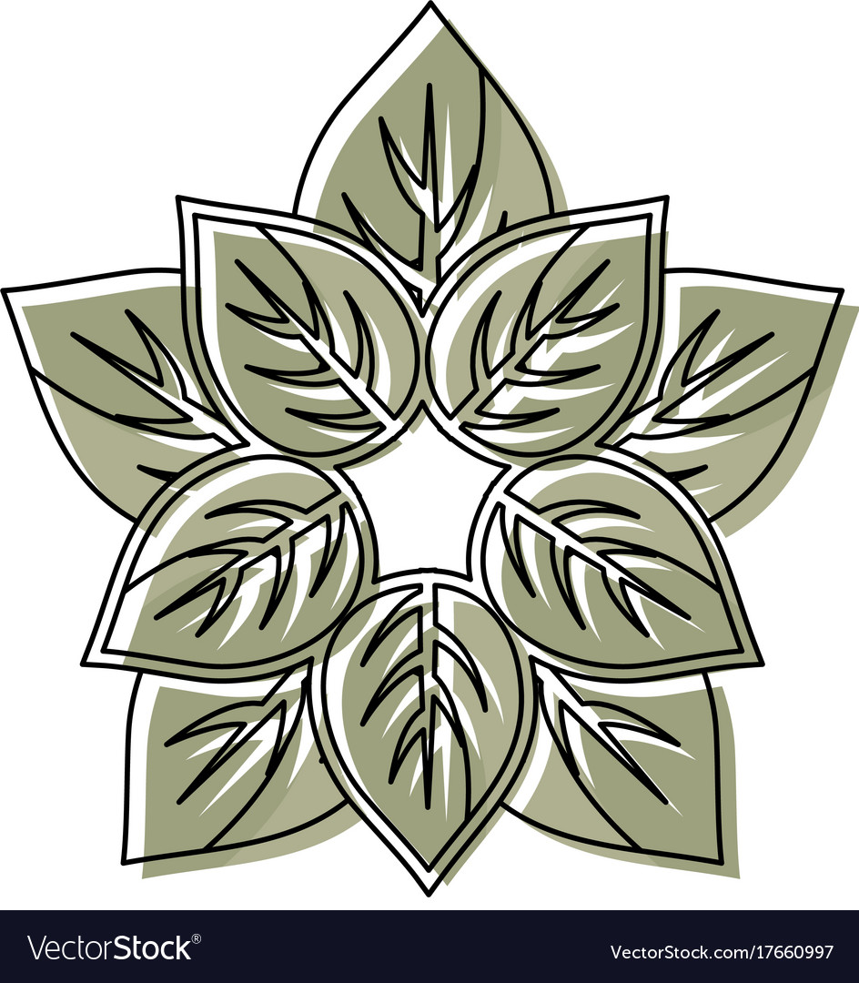Leaf desing Royalty Free Vector Image - VectorStock