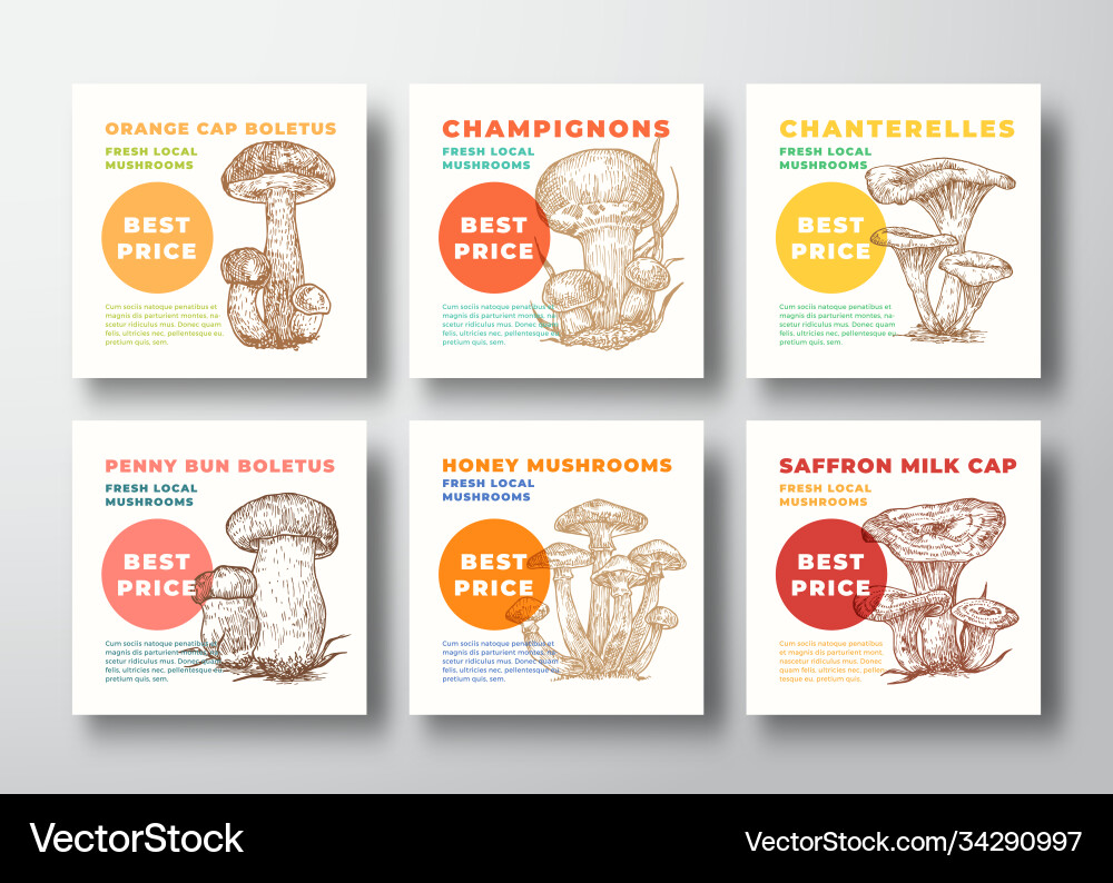 Mushrooms label templates collection hand Vector Image