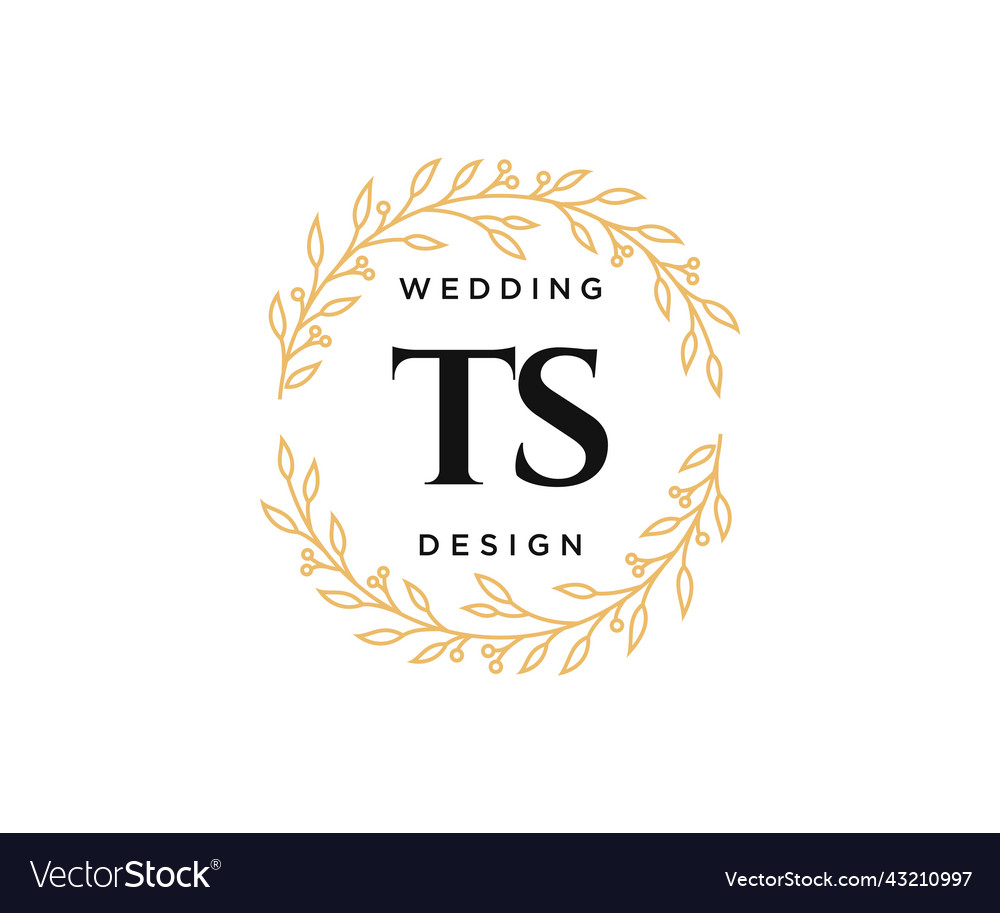Ts initials letter wedding monogram logos Vector Image