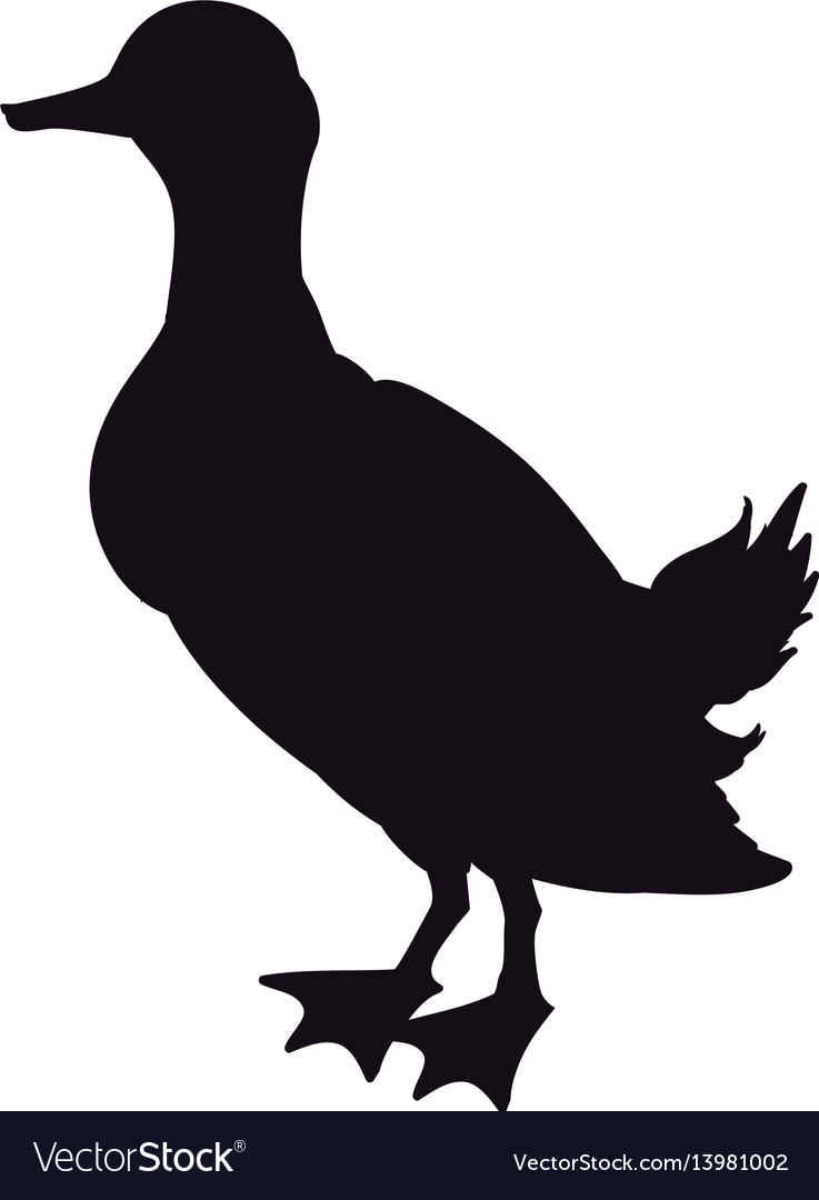 Duck farm animal Royalty Free Vector Image - VectorStock