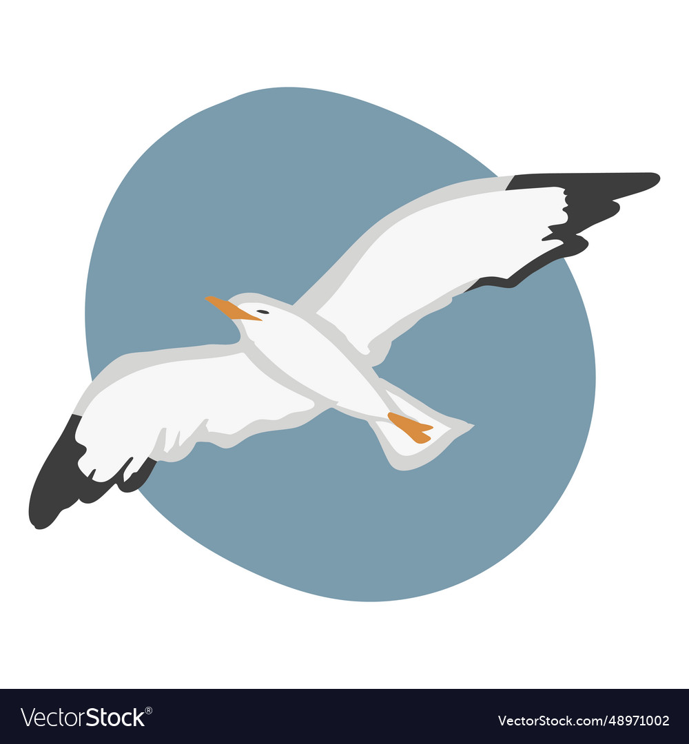 Seagull flying flat Royalty Free Vector Image - VectorStock