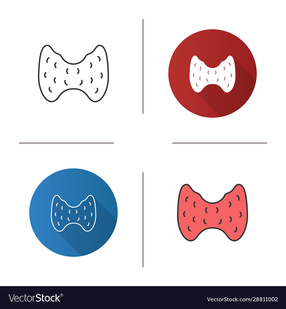 Thyroid gland icon Royalty Free Vector Image - VectorStock