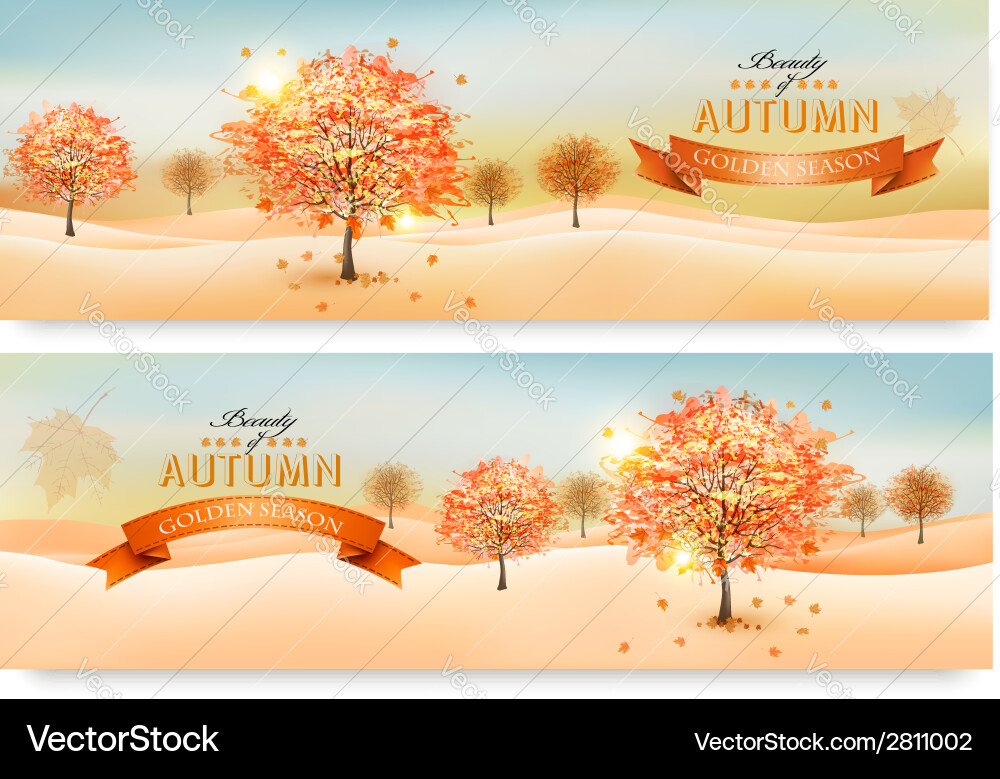 Two autumn abstract banners with colorful leaves Vector Image
