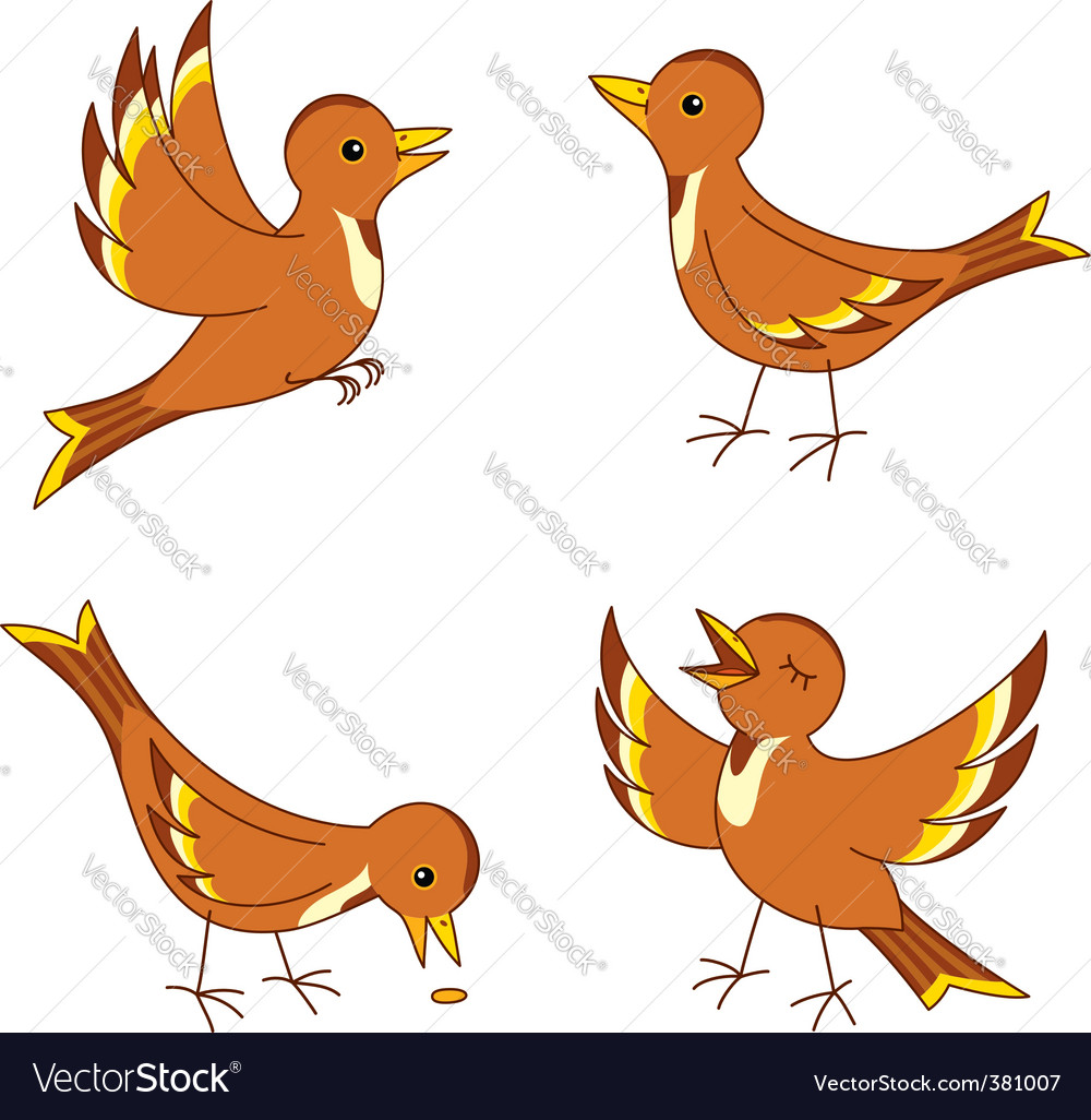 Birds Royalty Free Vector Image - VectorStock