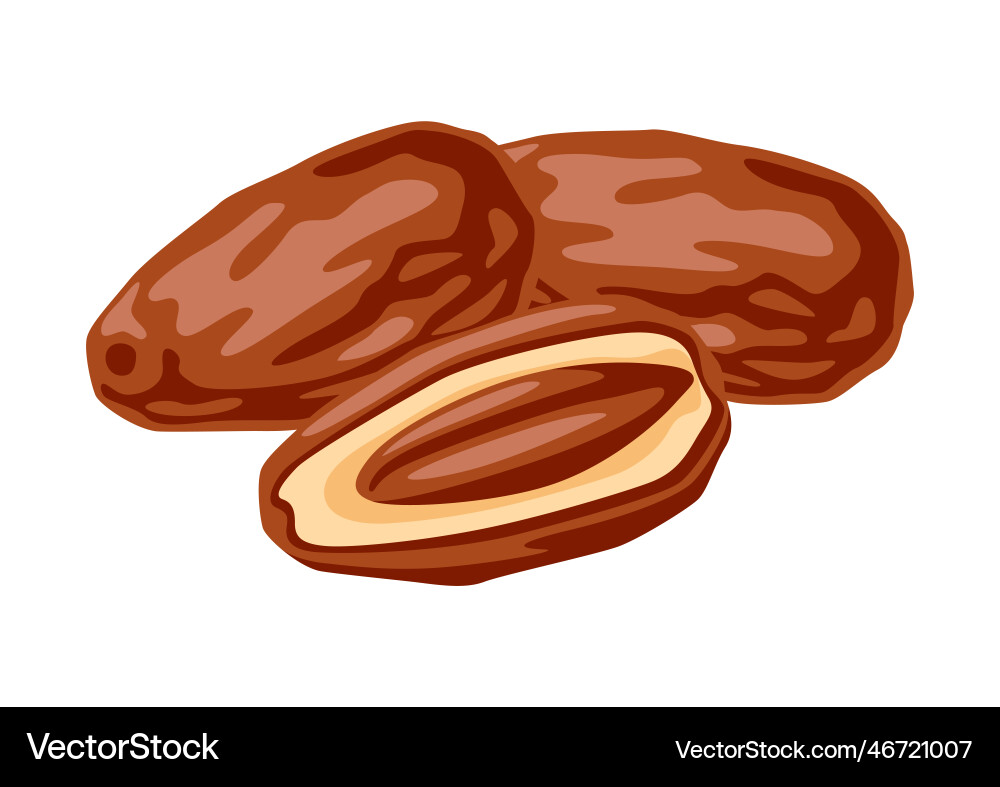 Dates fruits tropical vegetarian Royalty Free Vector Image